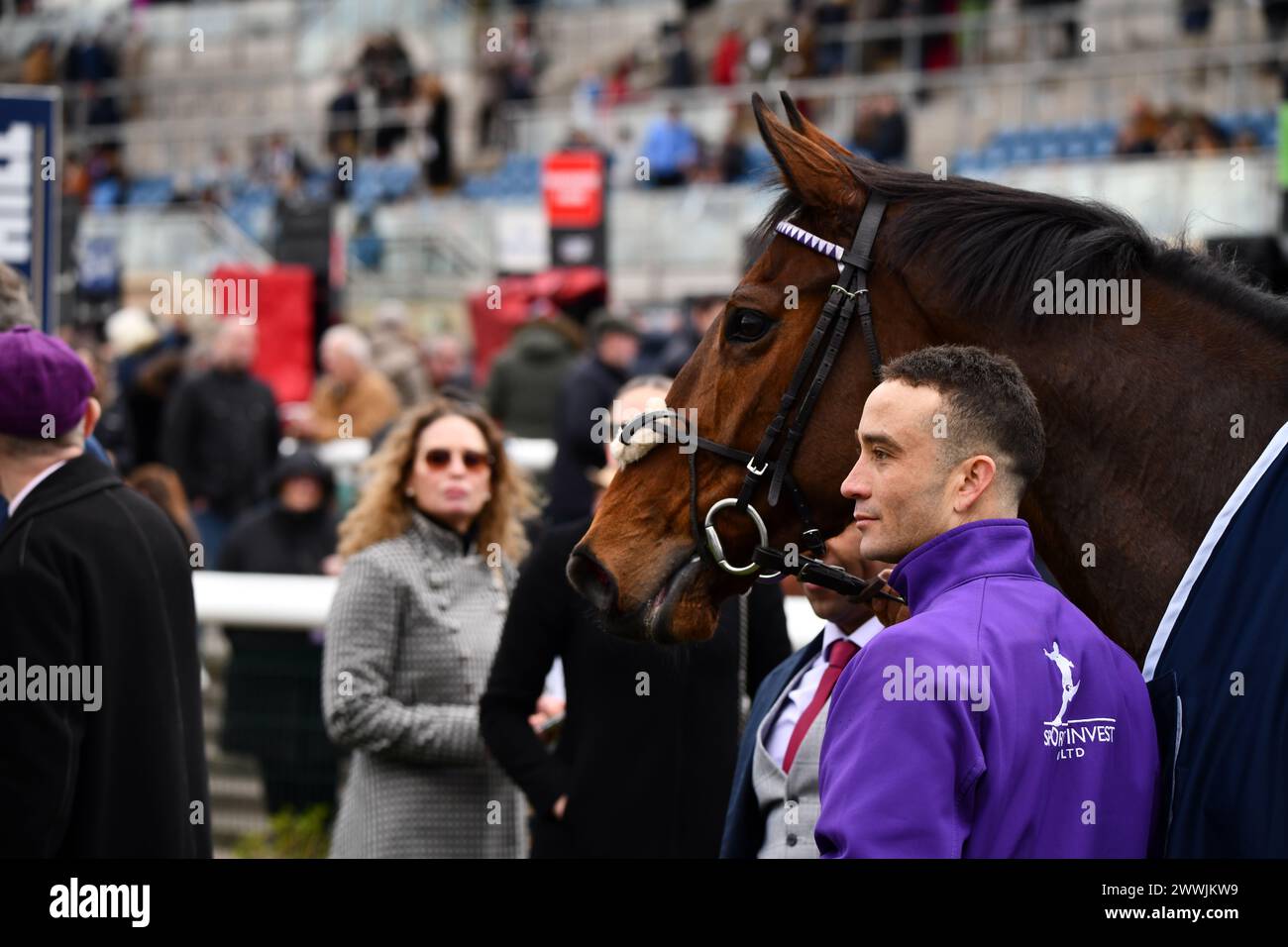 Mr professor horse hi-res stock photography and images - Alamy