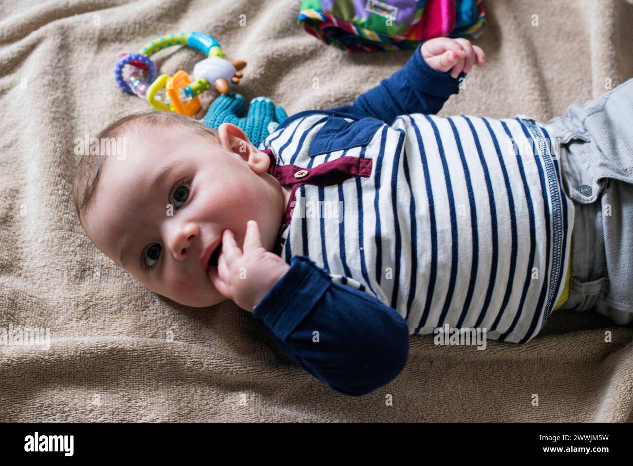 Baby Boy New York City, USA. Baby boy crawling the floor at an Airbnb ...
