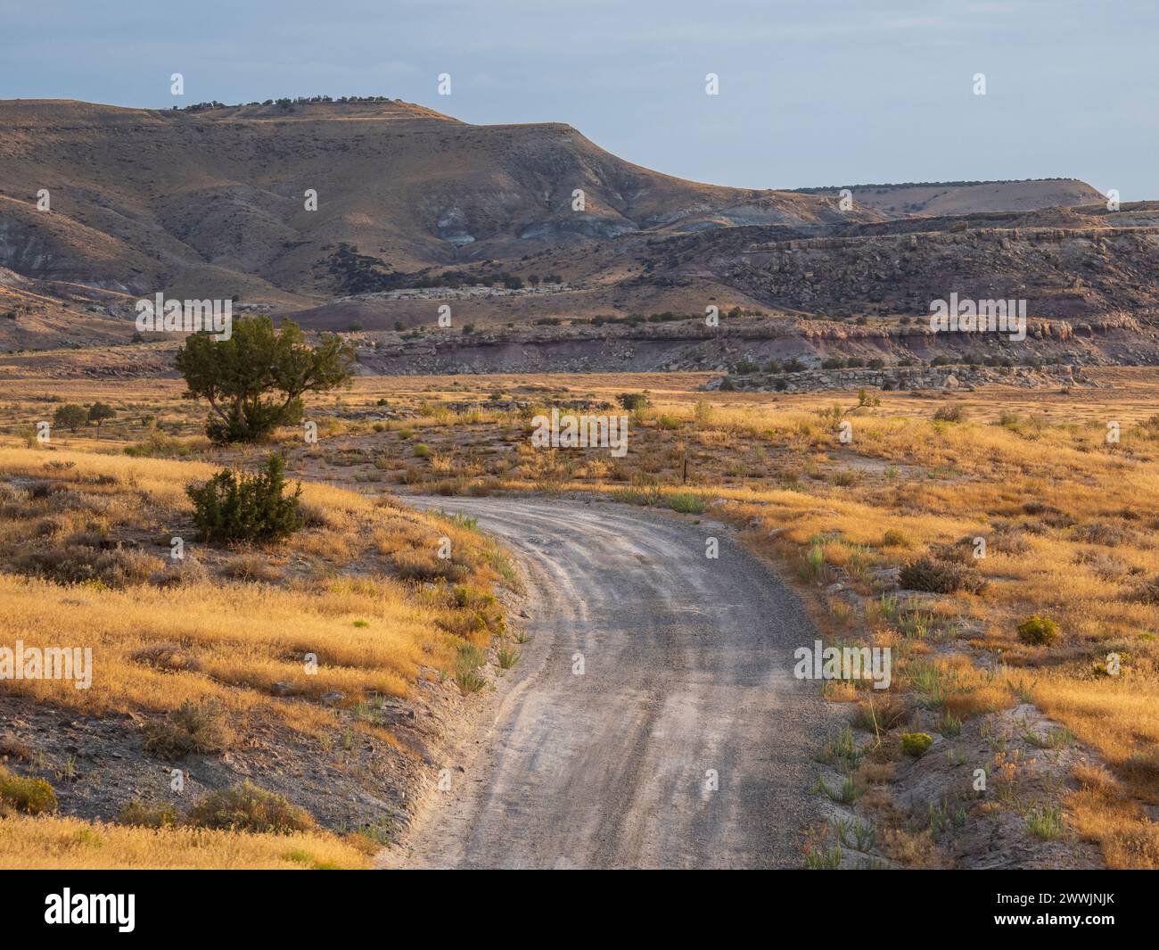 Road into Jouflas Campground, Rabbit Valley, McInnis Canyons National ...