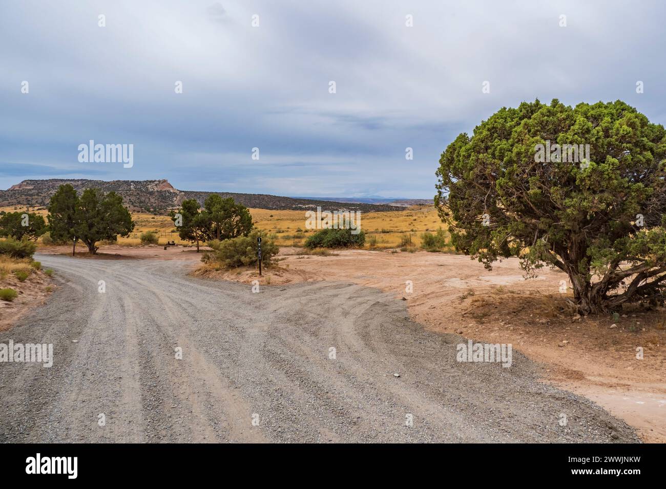 Group Use Campground, Rabbit Valley, McInnis Canyons National ...
