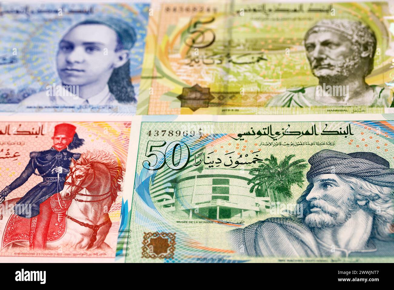 Tunisian money - dinar a business background Stock Photo - Alamy