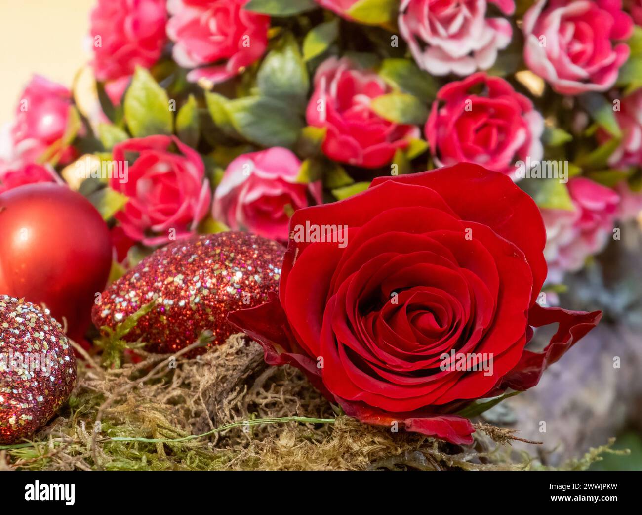 Single red rose with romantic valentine decorations Stock Photo - Alamy