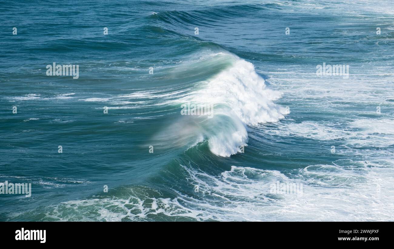 Sunlight catches the spray of a powerful, cresting ocean wave ...