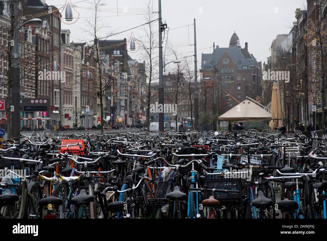 Amsterdam Bike Parking Overload. A dense sea of parked bicycles ...