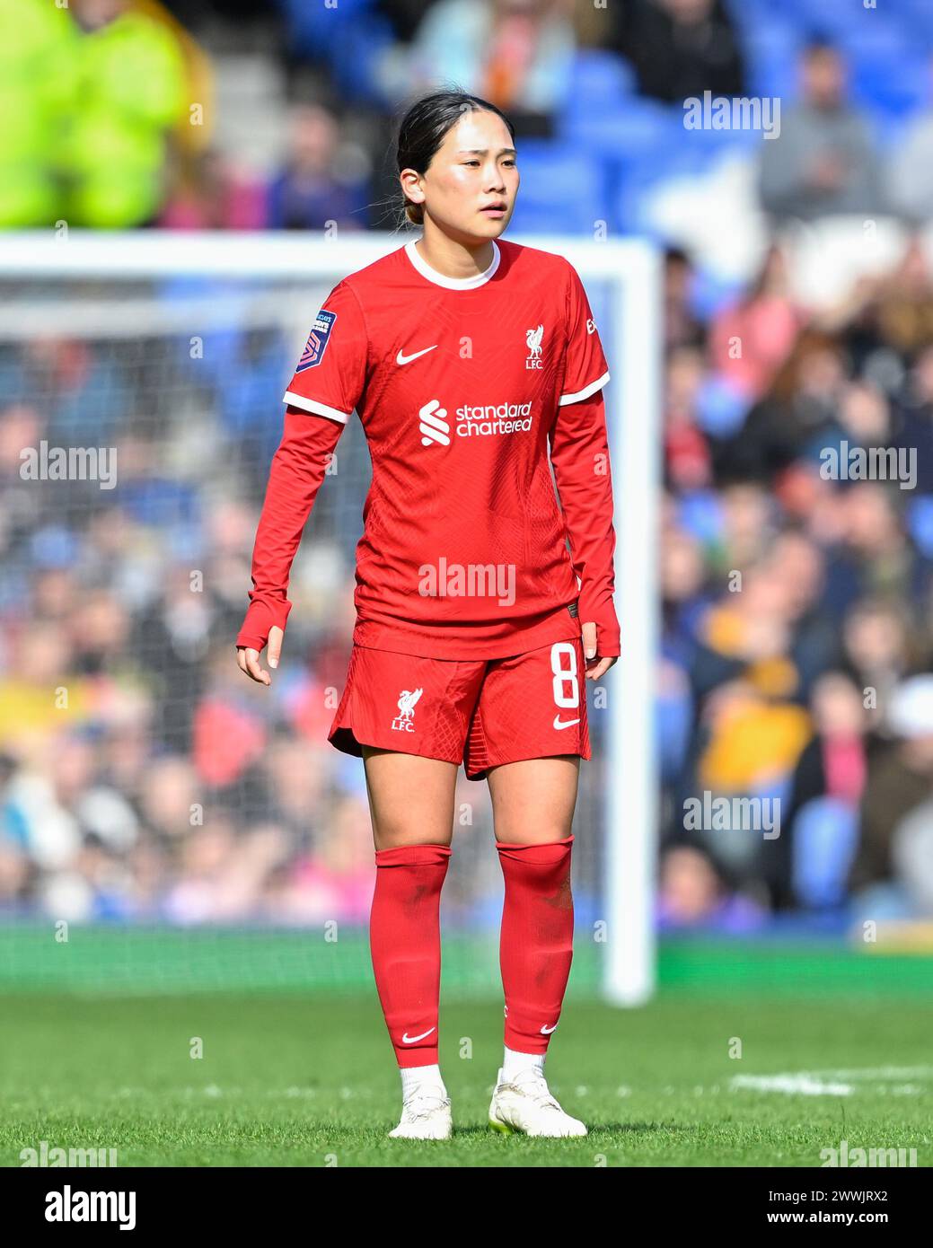 Fuka nagano hi-res stock photography and images - Alamy