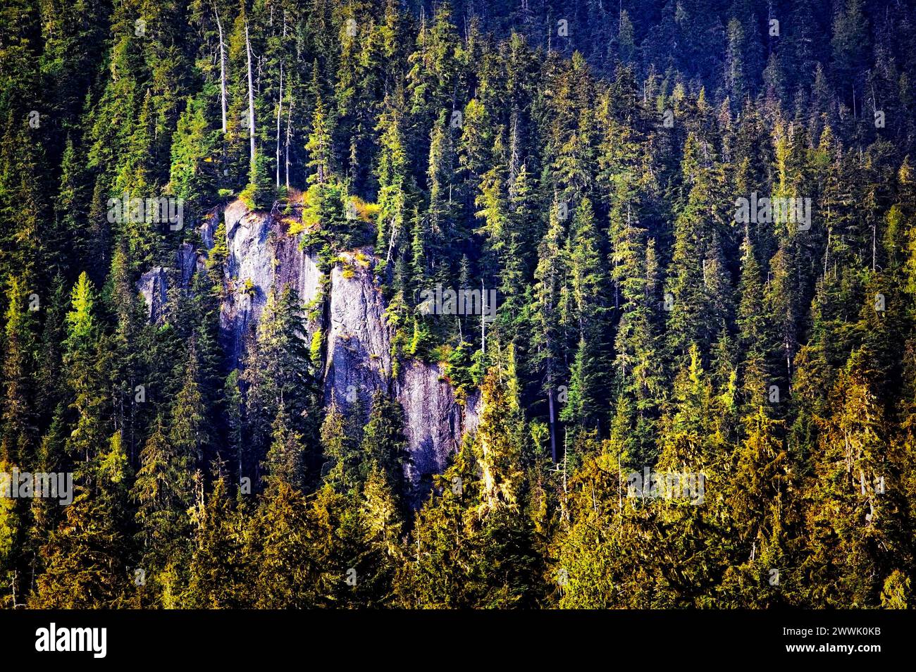 Canada cover hi-res stock photography and images - Alamy