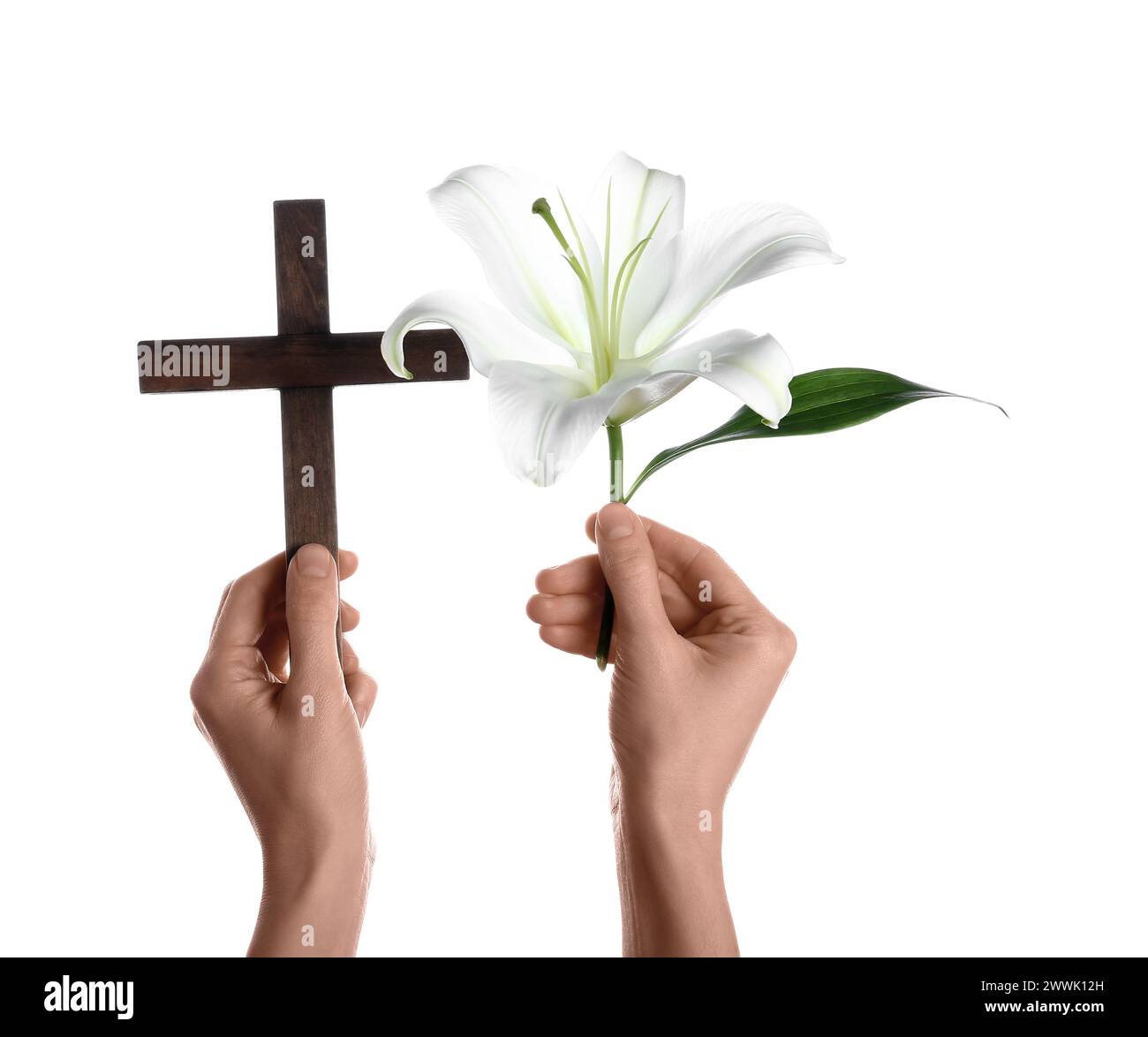 Female hands with lily flower and wooden cross on white background ...