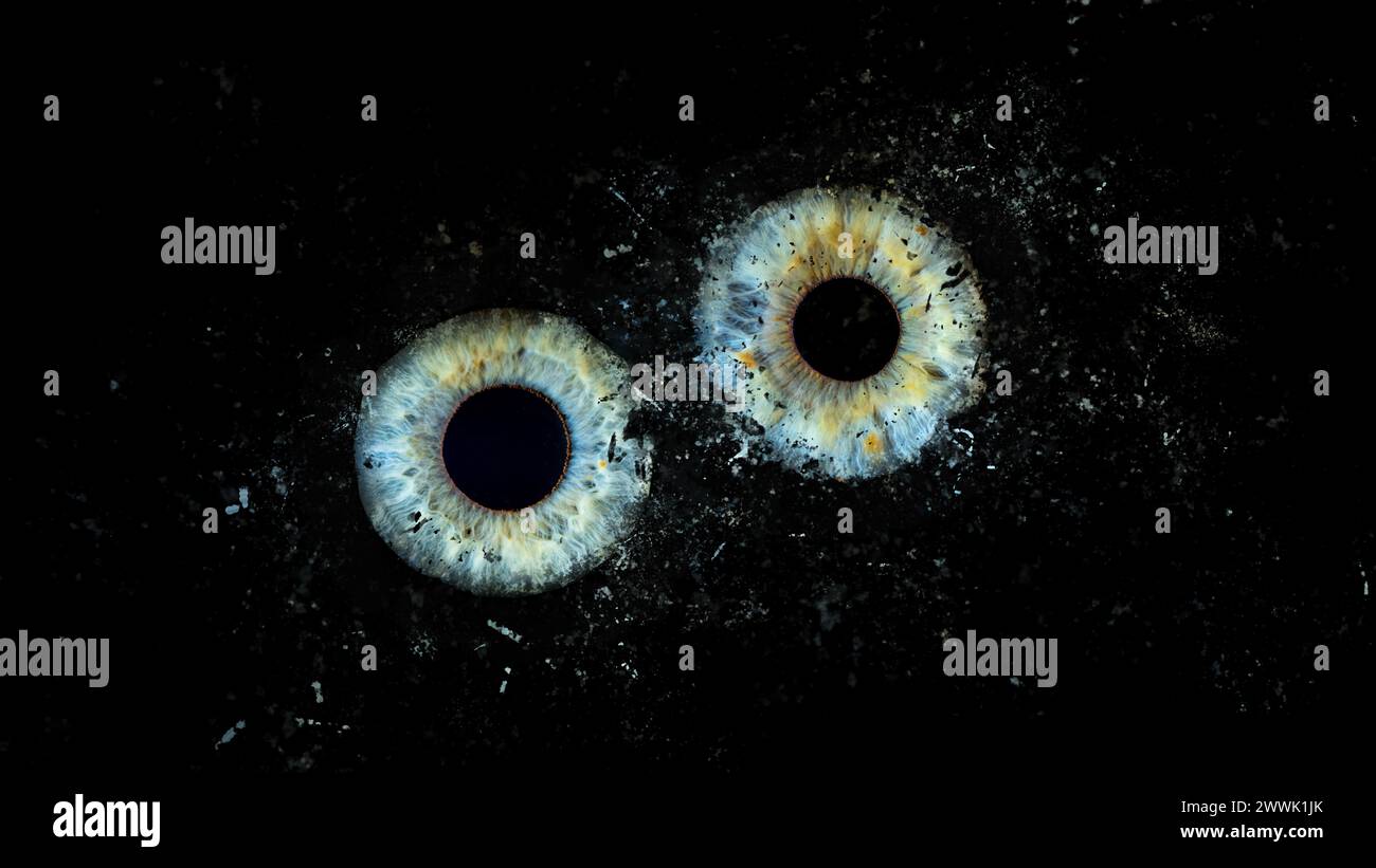 Description: Galaxy explosion effect of human eyes colliding on black ...