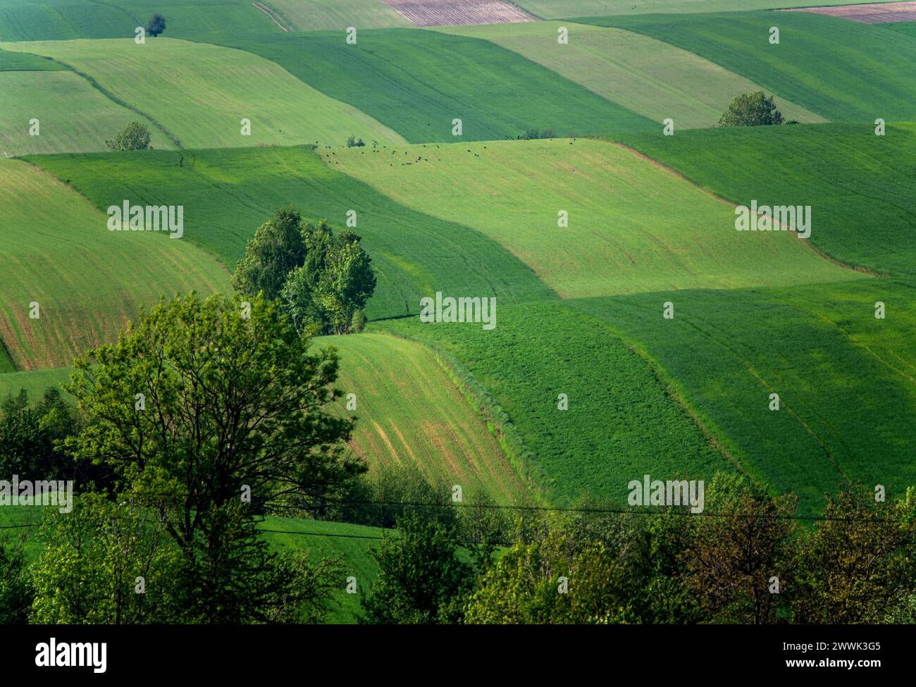 Polish landscape hi-res stock photography and images - Alamy