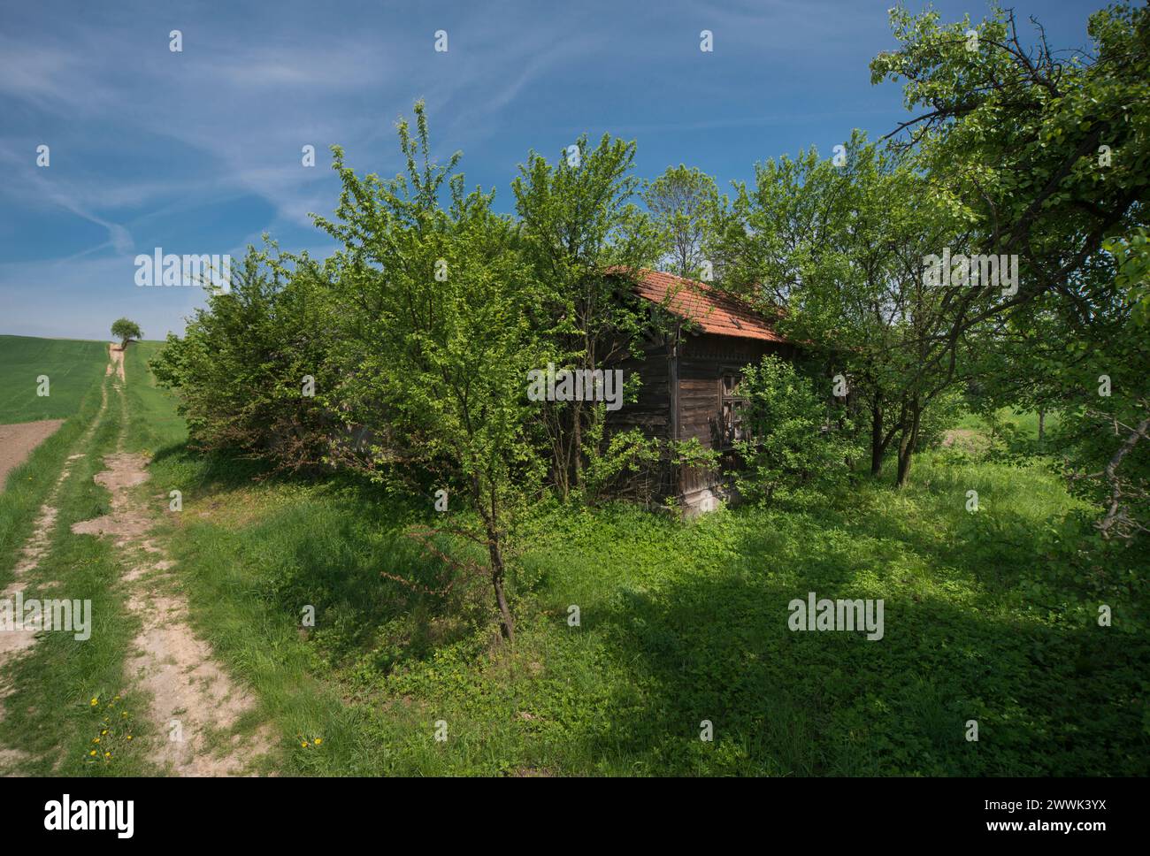 Rural landscape, Miechowska Upland, Lesser Poland Stock Photo - Alamy