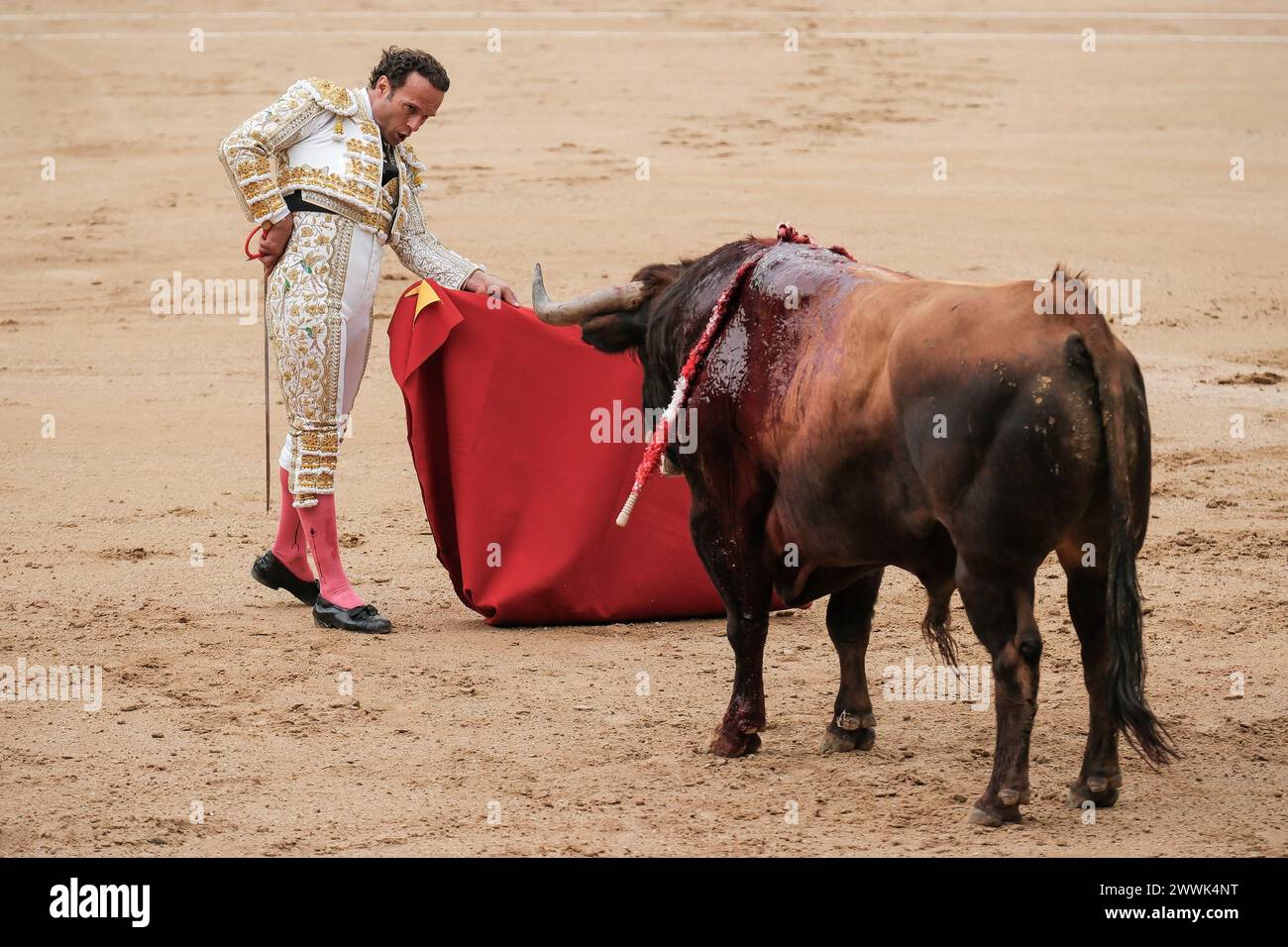 the bullfighter Antonio Ferrera during the bullfight of Corrida Toros ...