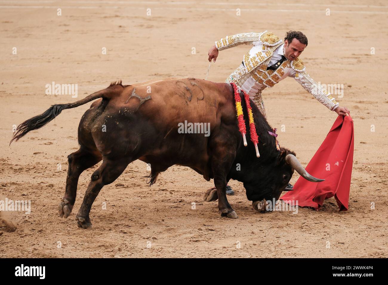 the bullfighter Antonio Ferrera during the bullfight of Corrida Toros ...