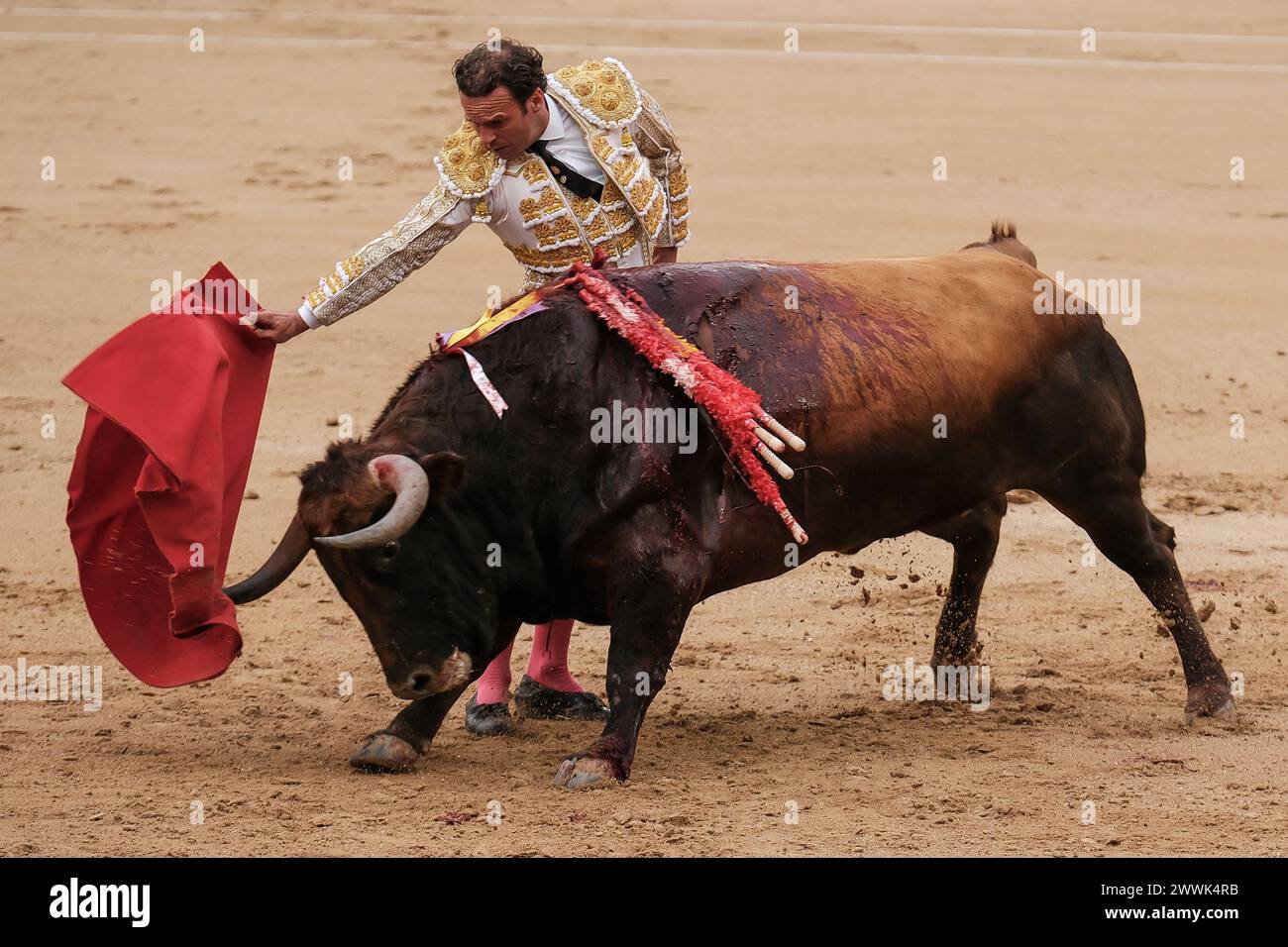the bullfighter Antonio Ferrera during the bullfight of Corrida Toros ...