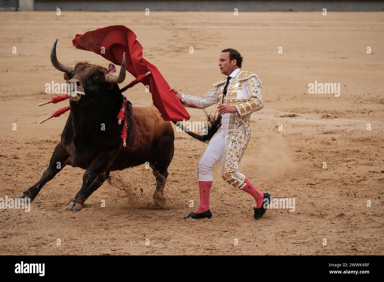 the bullfighter Antonio Ferrera during the bullfight of Corrida Toros ...