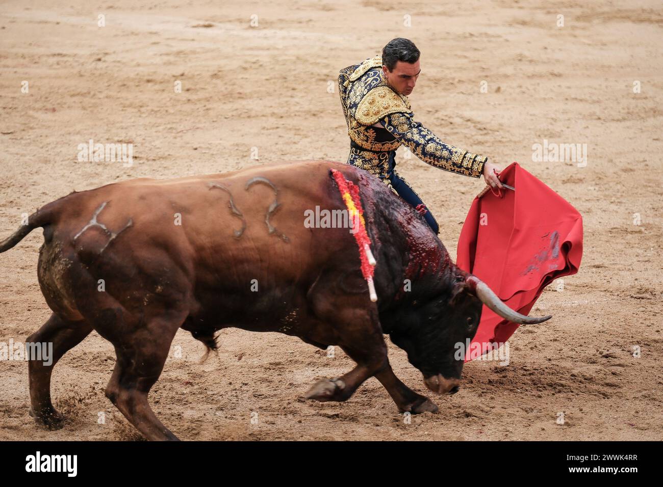 Octavio chacon hi-res stock photography and images - Alamy