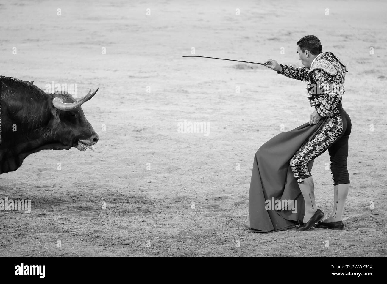 the bullfighter Octavio Chacón during the bullfight of Corrida Toros de ...