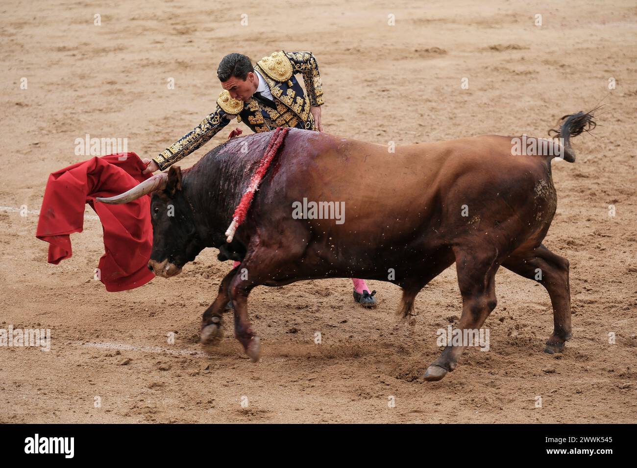 Excitation 2024 hi-res stock photography and images - Alamy