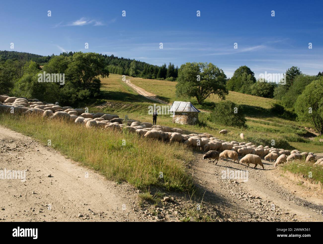 Abandoned villages, Lemko Region, Eastern Poland Stock Photo - Alamy