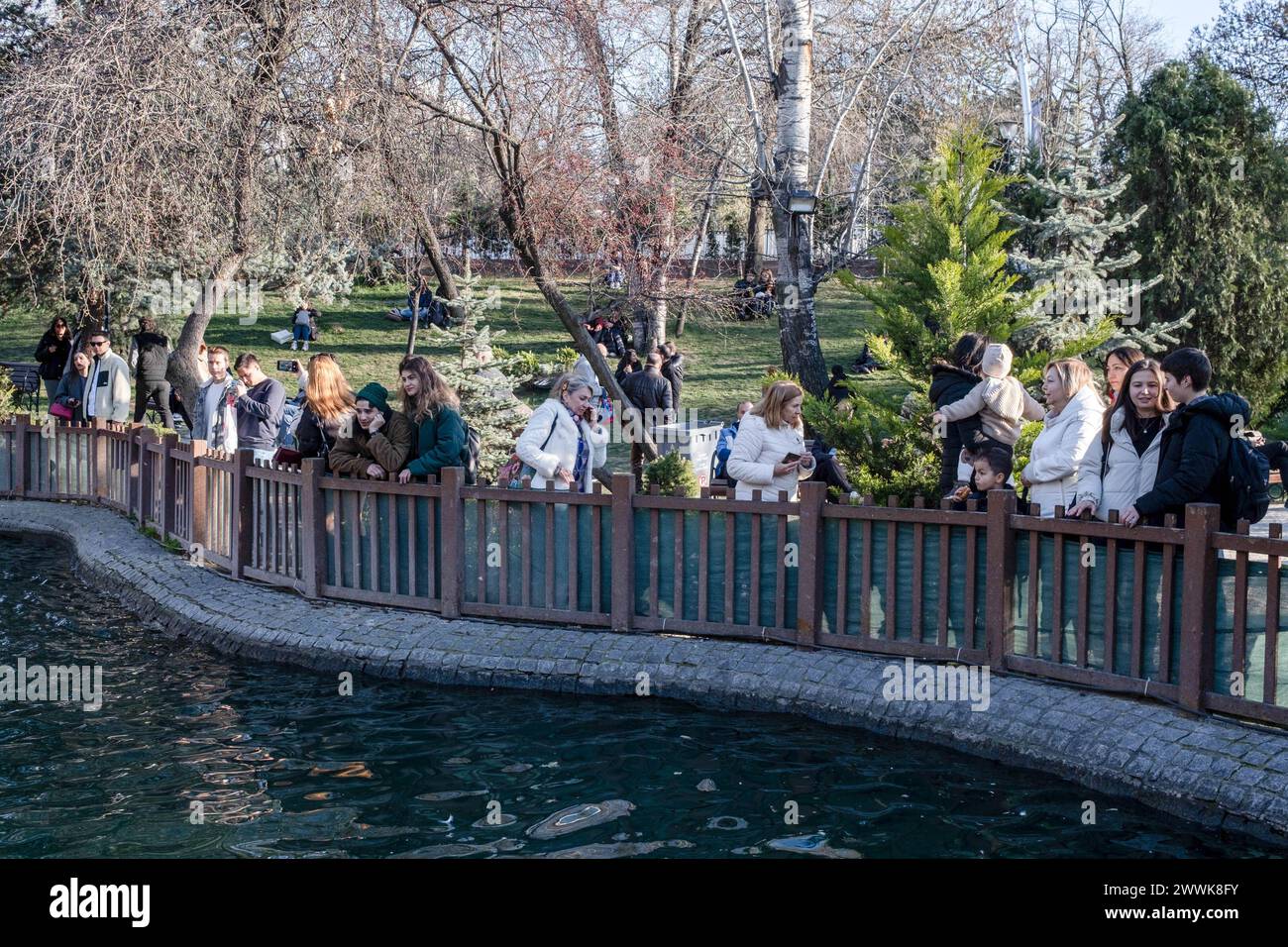Ankara, Turkey. 24th Mar, 2024. People watch the swans with their ...