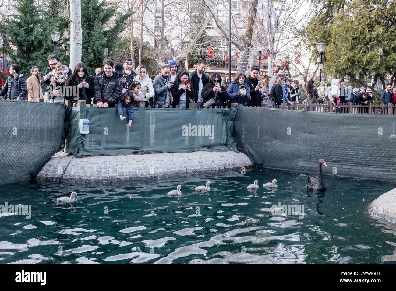 Ankara, Turkey. 24th Mar, 2024. People watch and take photos of newborn ...