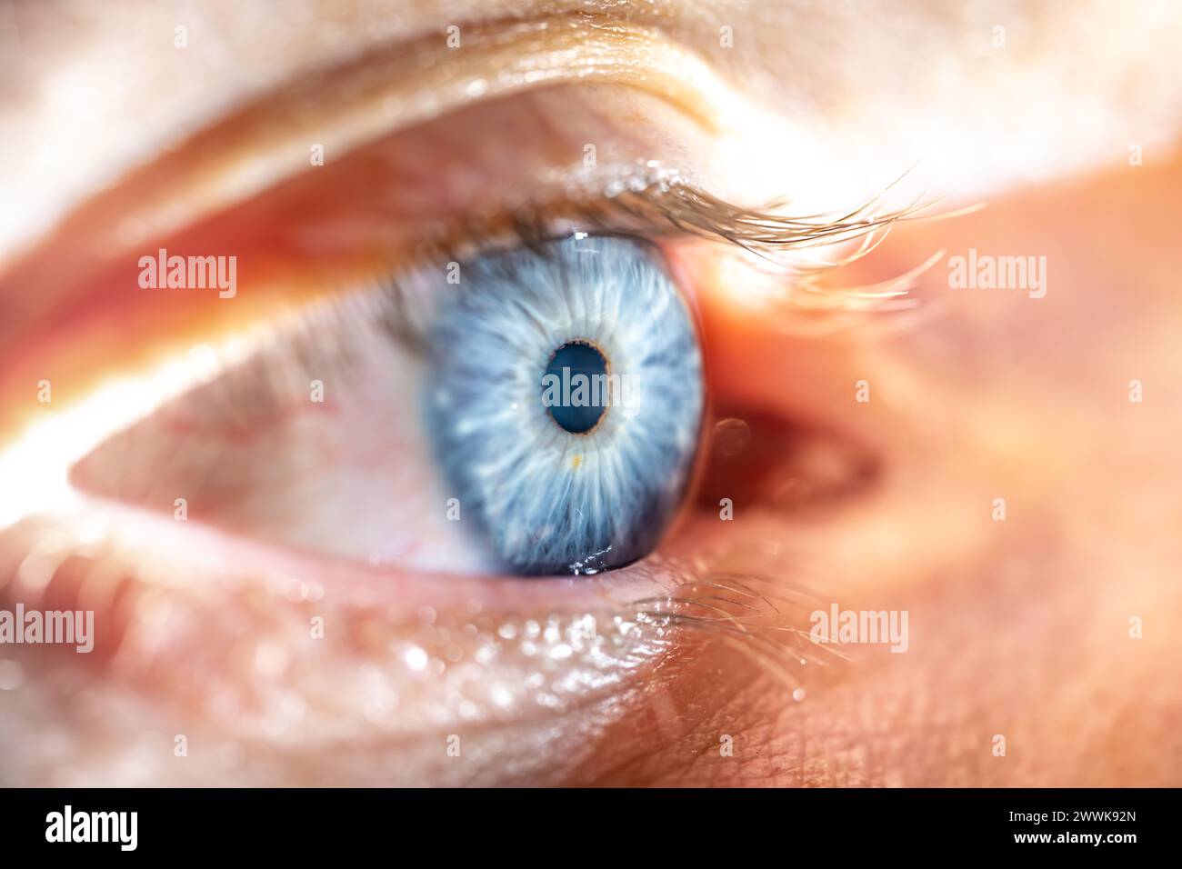 Description: Male Blue Colored Eye With Long Lashes Close Up ...