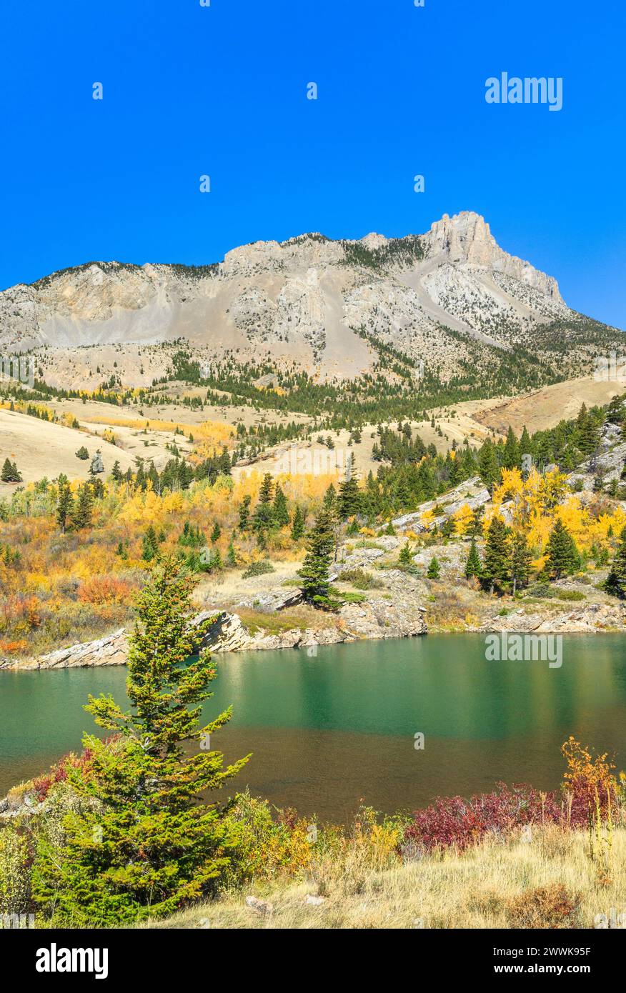 fall colors in the sun river canyon and foothills below castle reef ...