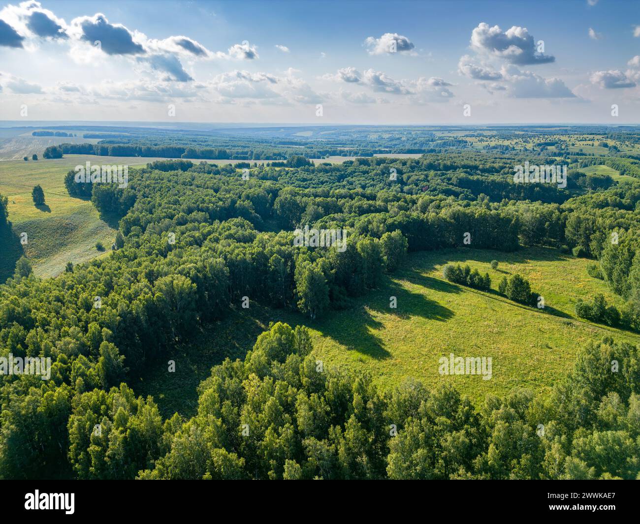 Deciduous forests on the Siberian plain as seen from above Stock Photo ...