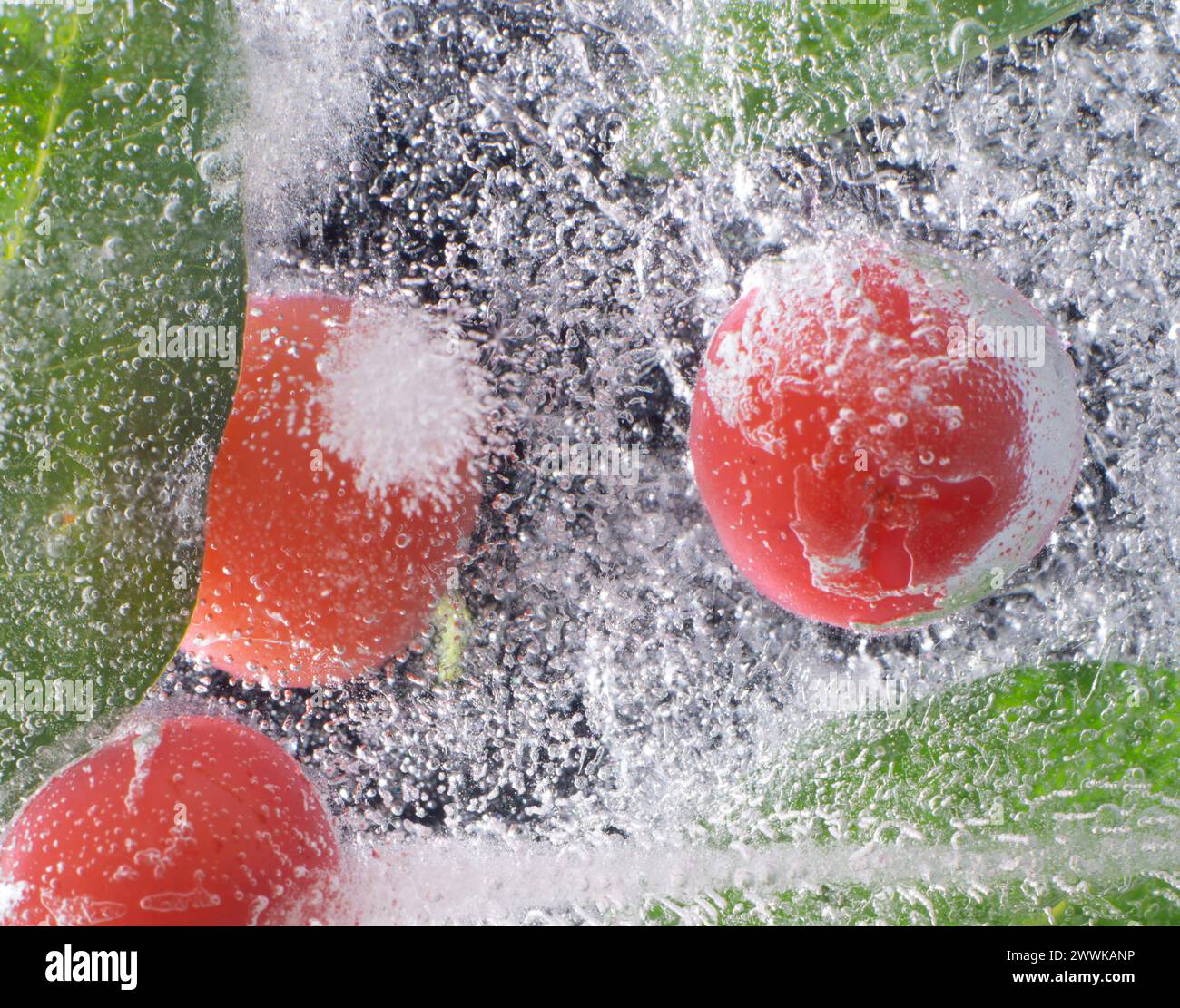 The abstract background of ice structure, Fruits, leaves, Ice, Vibrant ...