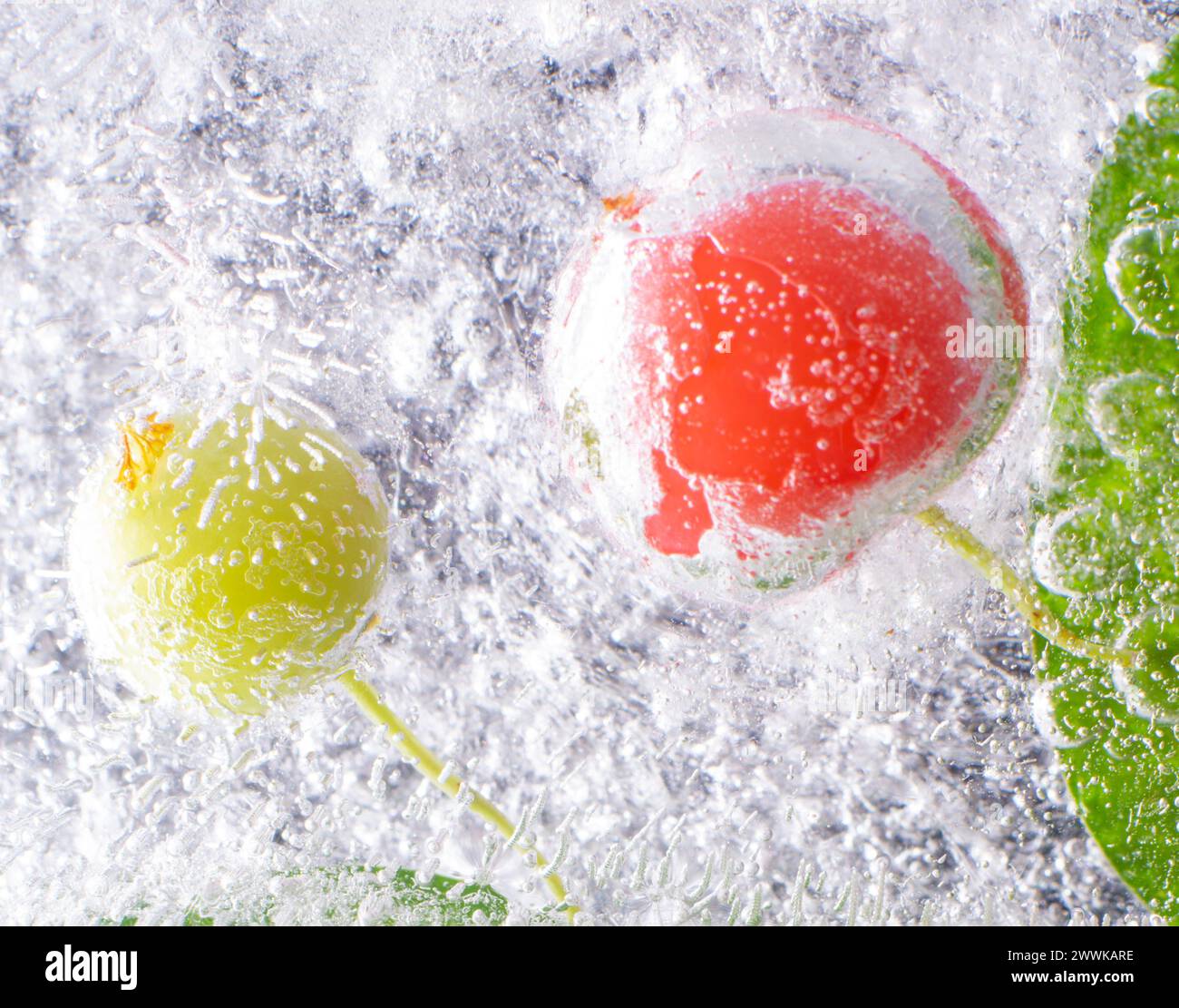The abstract background of ice structure, Fruits, leaves, Ice, Vibrant ...