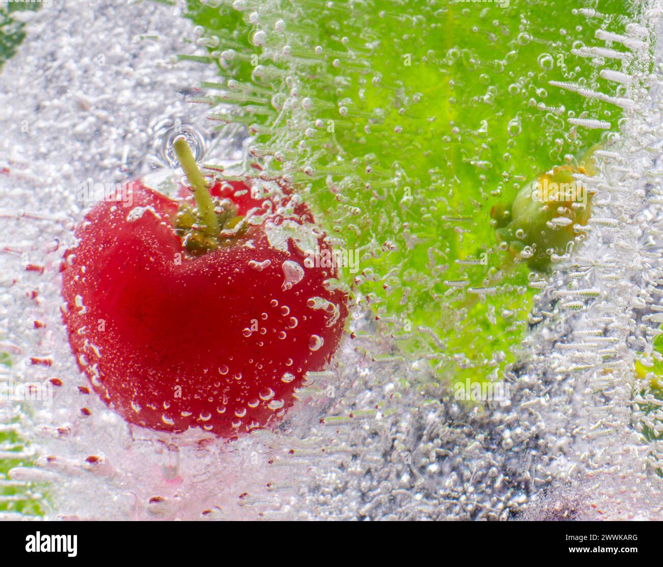 The abstract background of ice structure, Fruits, leaves, Ice, Vibrant ...