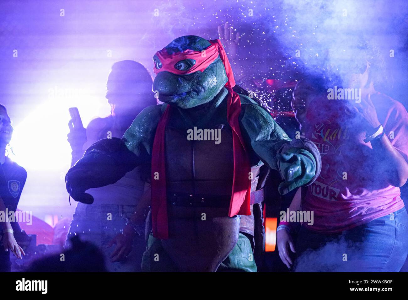 Dancing turtle hi-res stock photography and images - Alamy