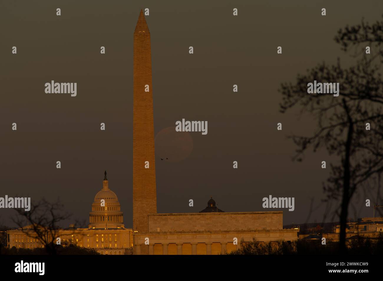 The Worm moon rises over the US Capitol and the Washington Monument ...