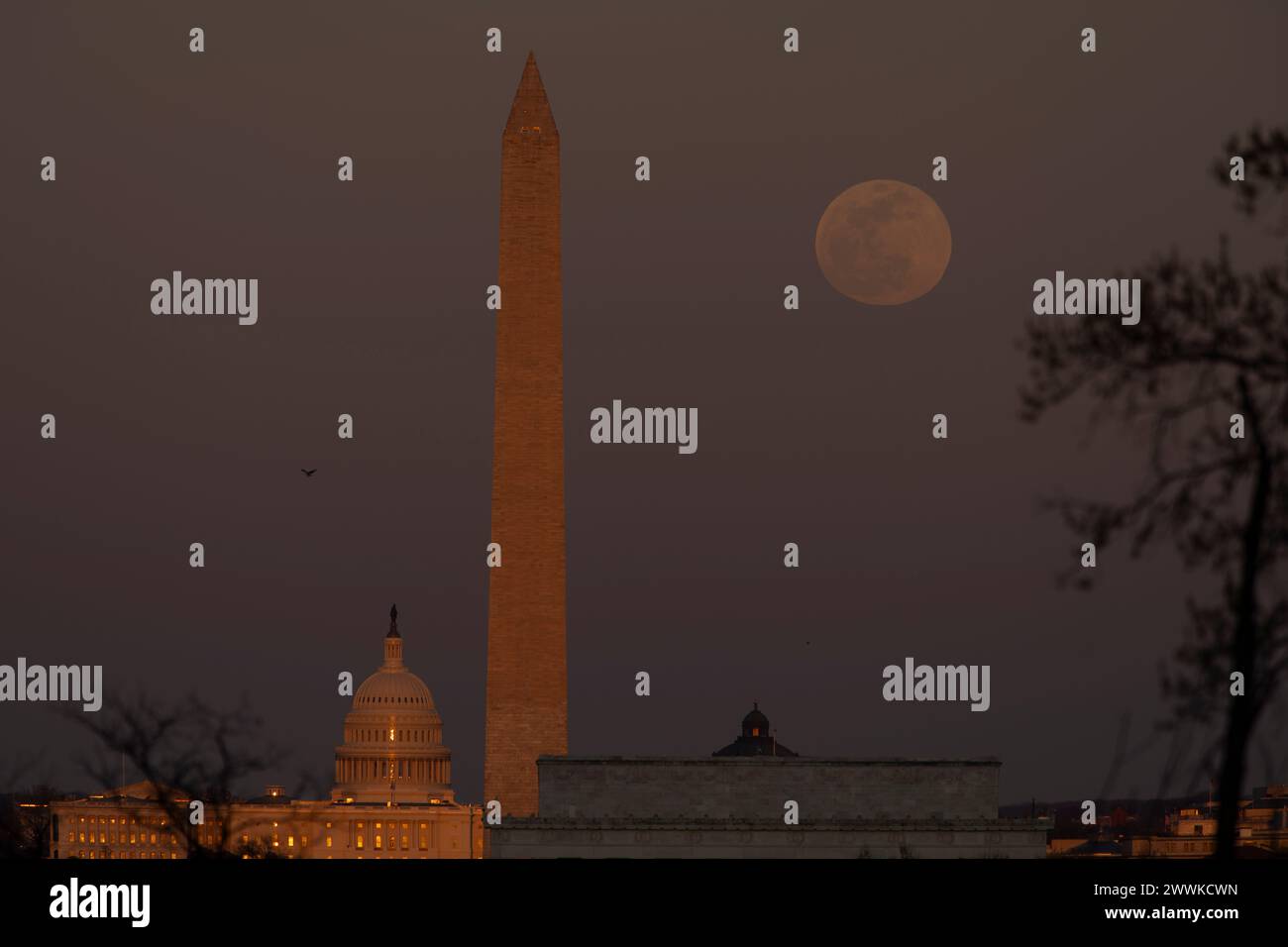 The Worm moon rises over the US Capitol and the Washington Monument ...