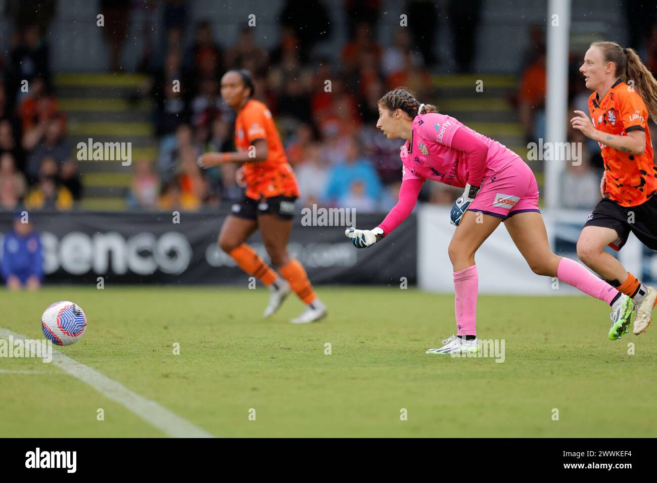 Brisbane, Australia, 24th March 2024. Morgan Aquino (1 Perth Glory) in ...
