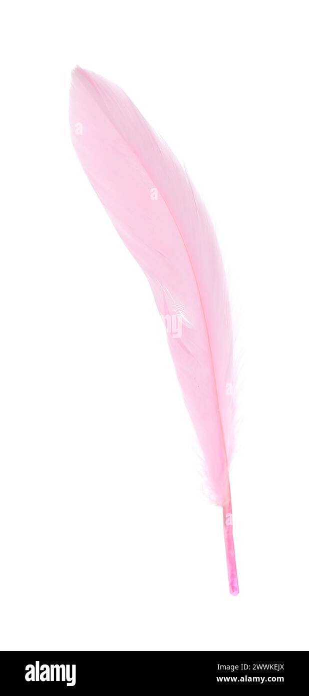 Fluffy beautiful pink feather isolated on white Stock Photo - Alamy