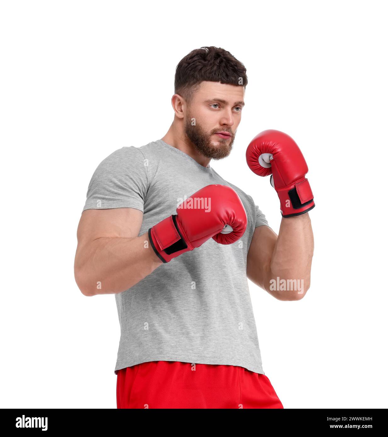 Man in boxing gloves fighting on white background Stock Photo - Alamy