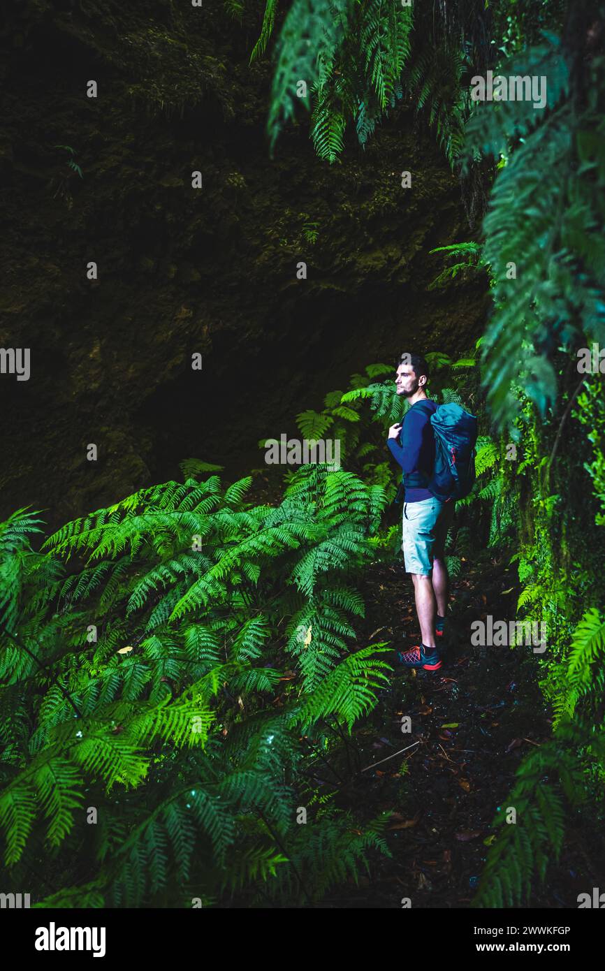 Description: Atlhletic tourist man walking on a fern covered gorge with ...
