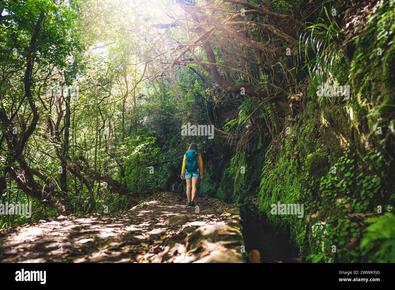 Description: Tourist woman walking along jungle hiking trail next to ...