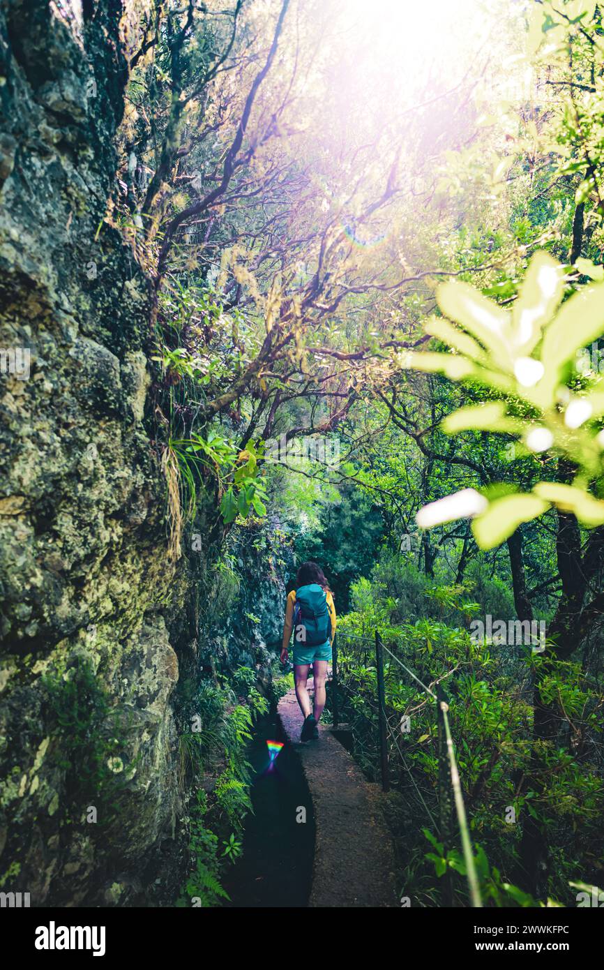 Description: Backpacker woman walking along overgrown jungle hiking ...