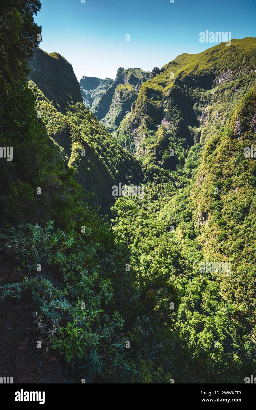 Description: View from steep cliff jungle hiking trail next to canal in ...
