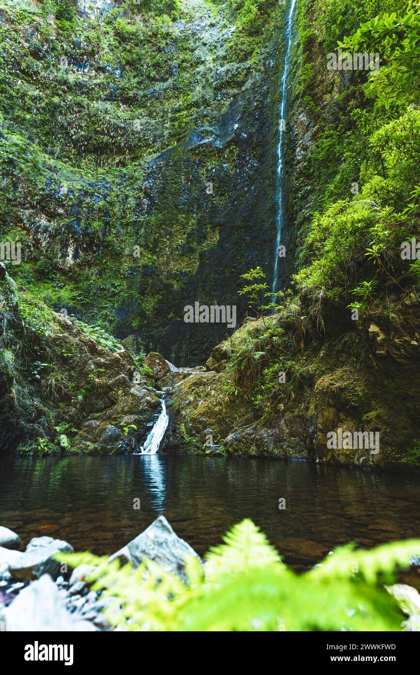 Description: Scenic pool at overgrown waterfall in the Madeiran ...