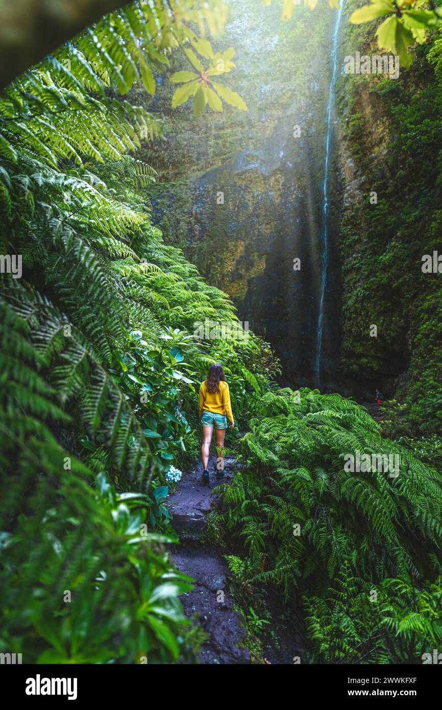 Description: Tourist woman walking along fern overgrown hiking trail ...