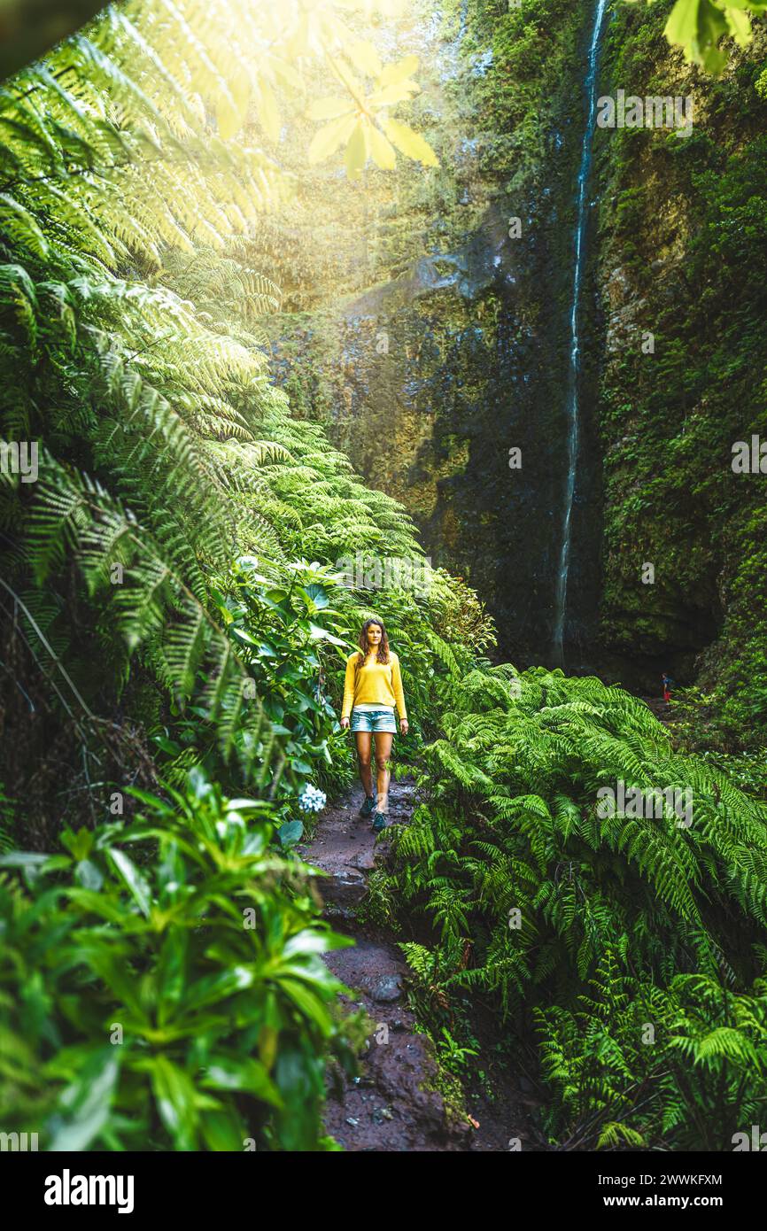Description: Tourist woman walking along fern overgrown trail at ...