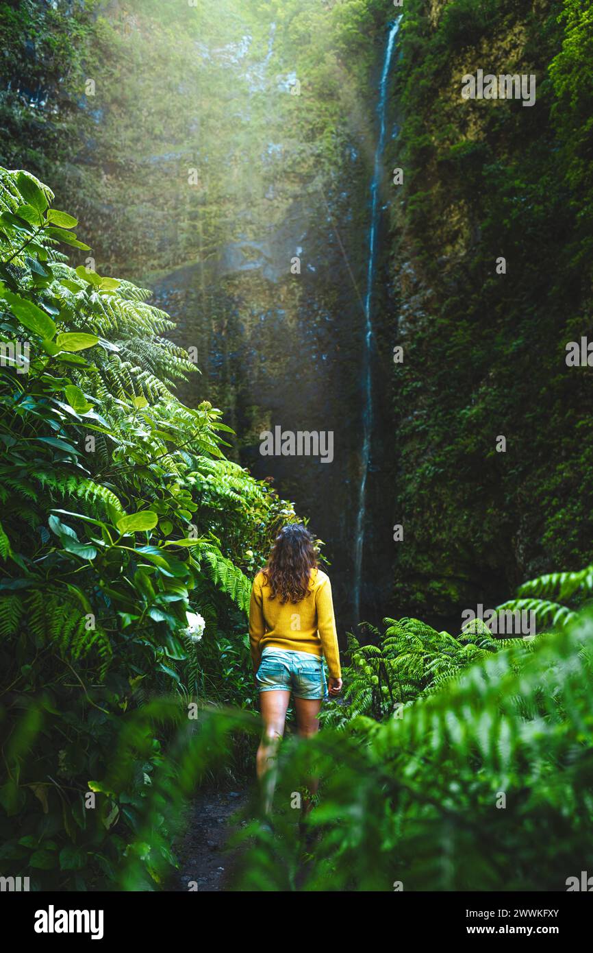 Description: Tourist woman walking along fern overgrown hiking trail ...