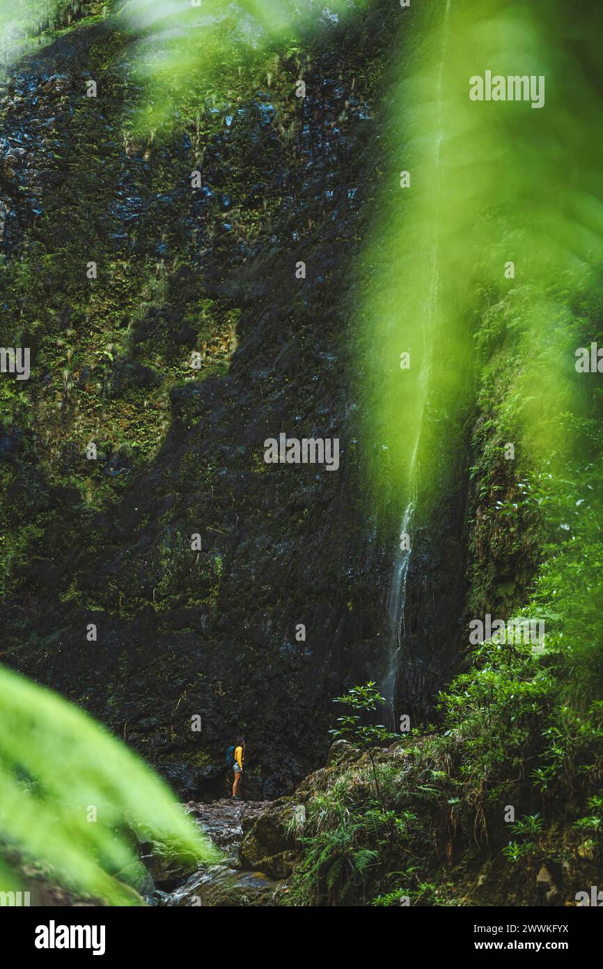 Description: Backpacker woman in the distance looking at scenic ...