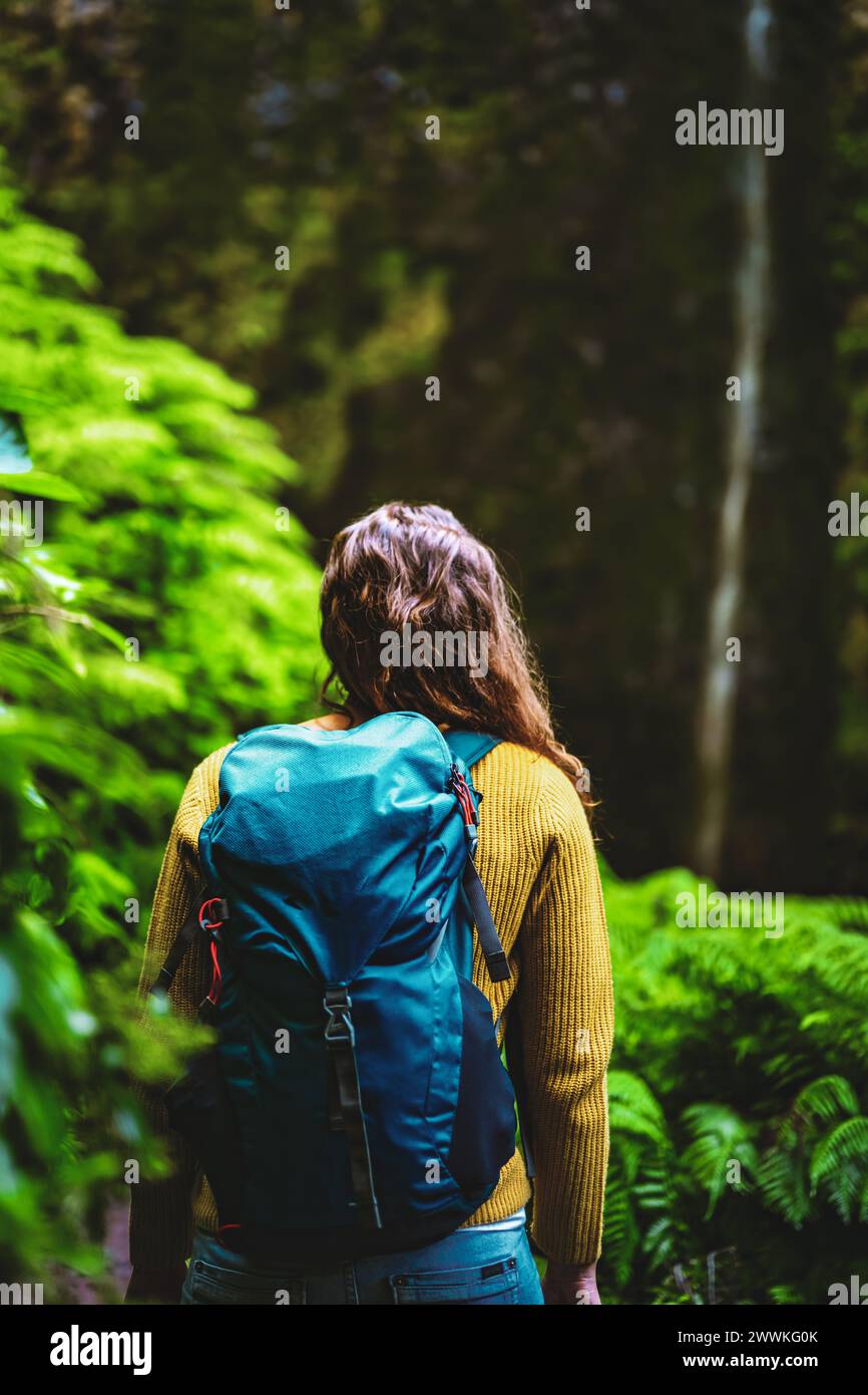 Description: Backpacker woman on a fern covered path overlooking a ...