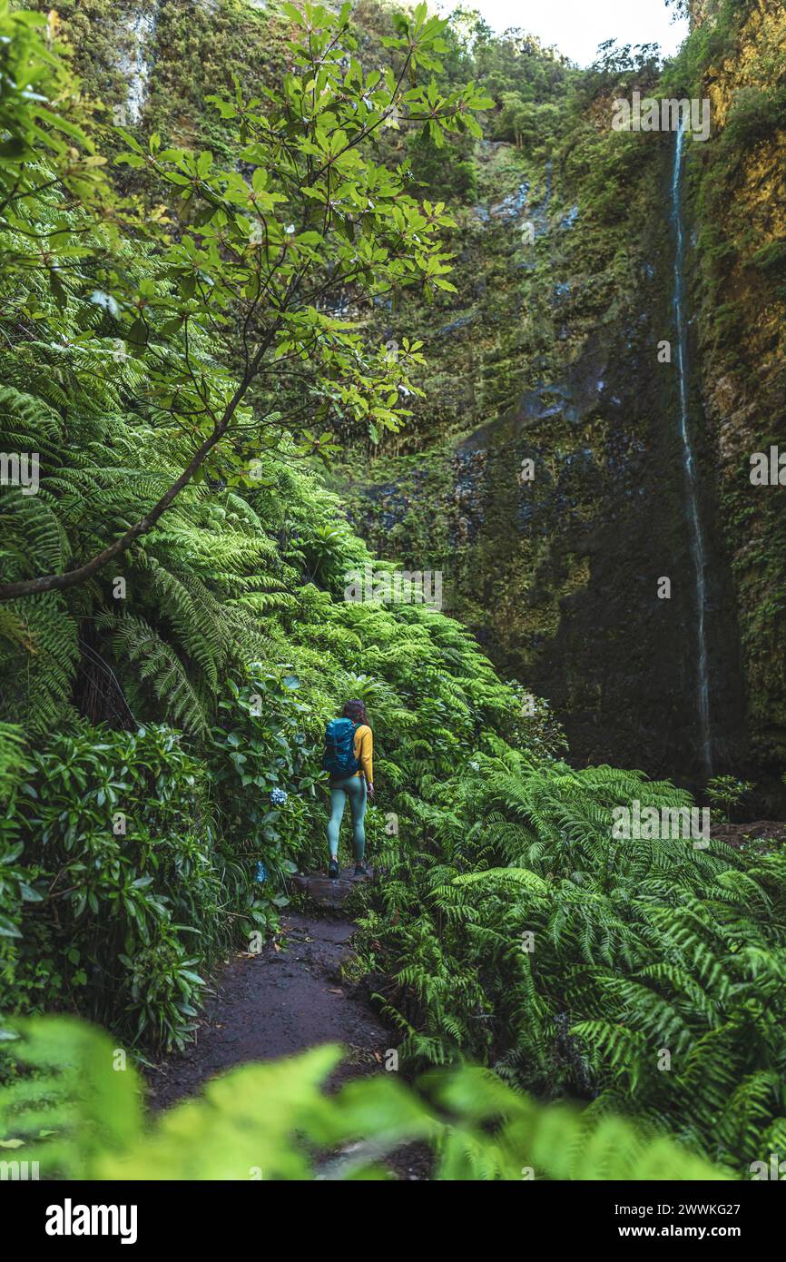 Description: Backpacker woman walking along fern overgrown trail at ...