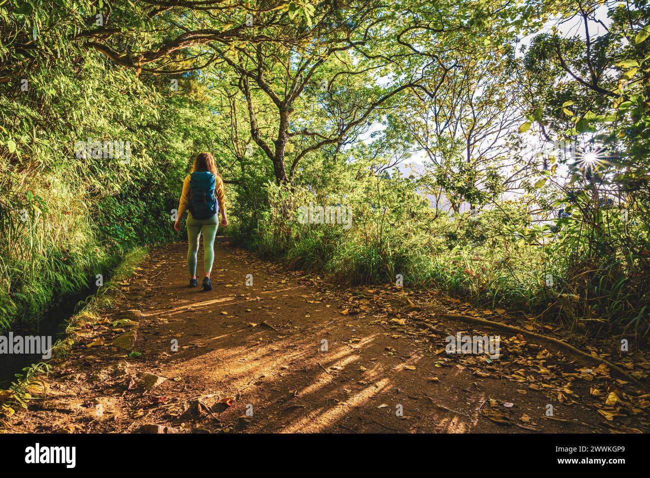 Description: Tourist woman walking along jungle footpath next to water ...