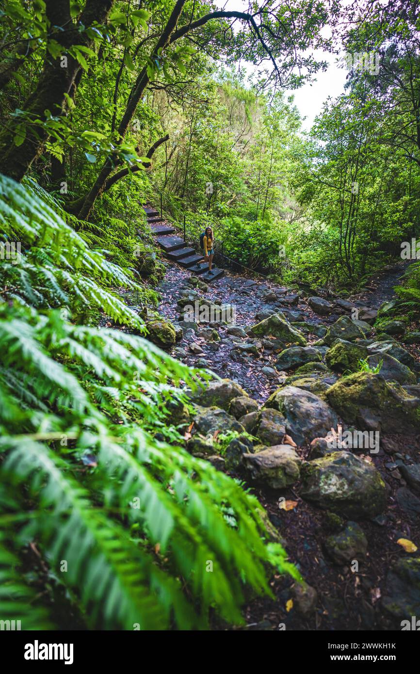 Description: Tourist woman walks through jungle on the stairs on the ...