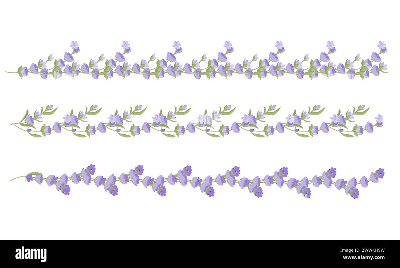 Set of decorative borders of lavender flowers for your design. Vector ...